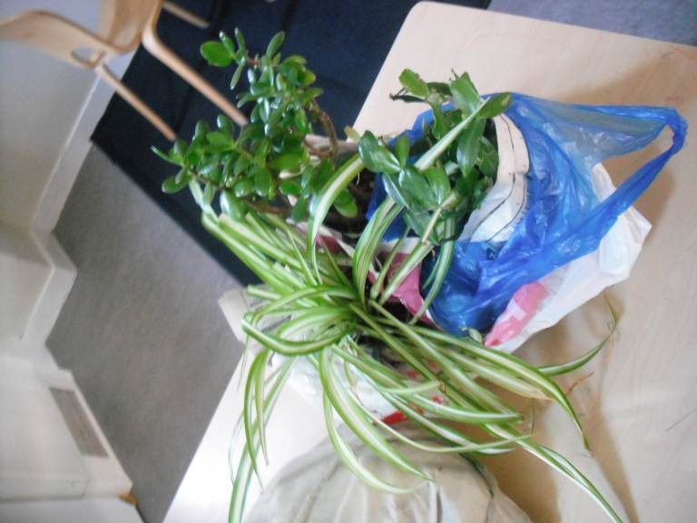 Without Prejudice Mervelee Myers 10 Years Journey To Finding My Purpose ...